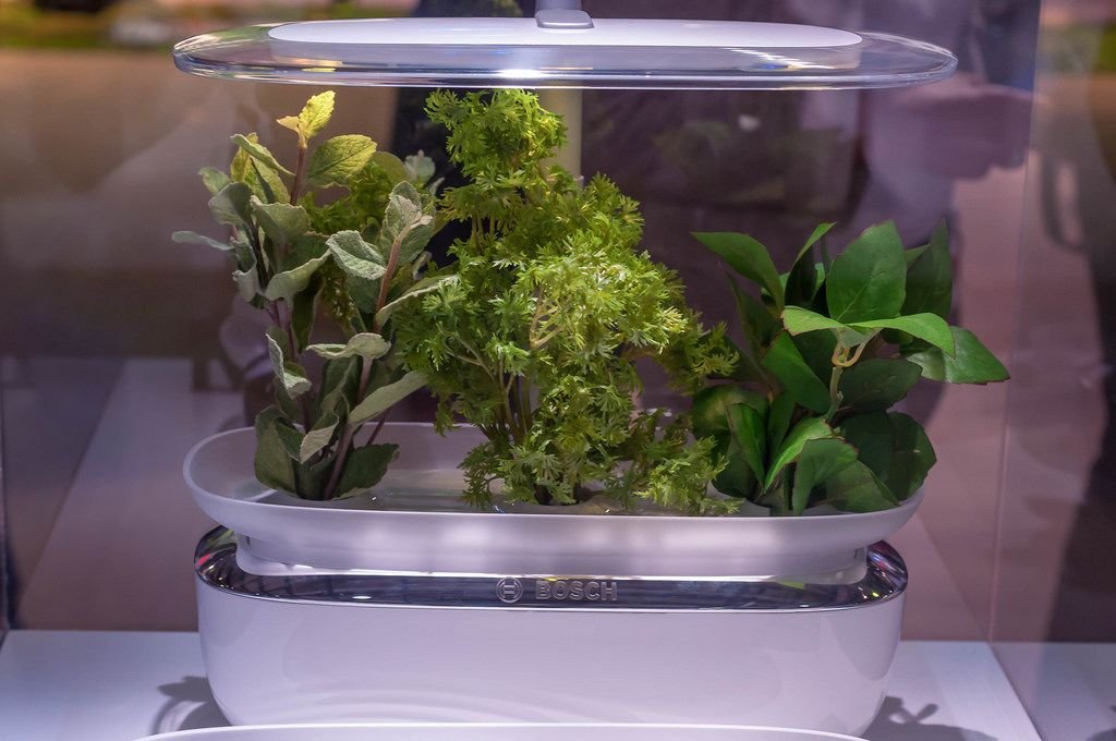 Six Cool Garden Inventions and Gadgets - GoGreenStart